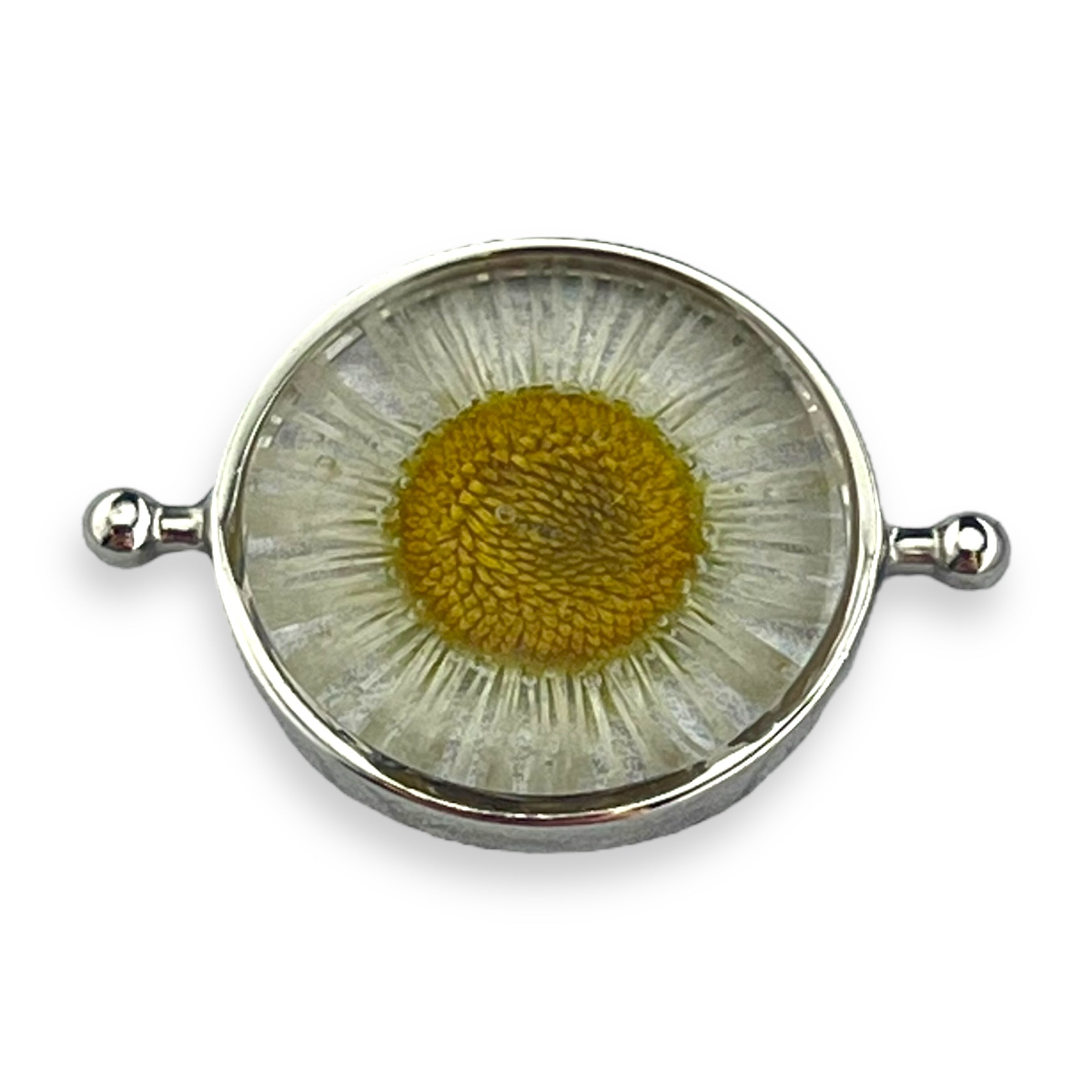 Fleabane Daisy Vessel | Symbol of Hope & Resilience – CONQUERing